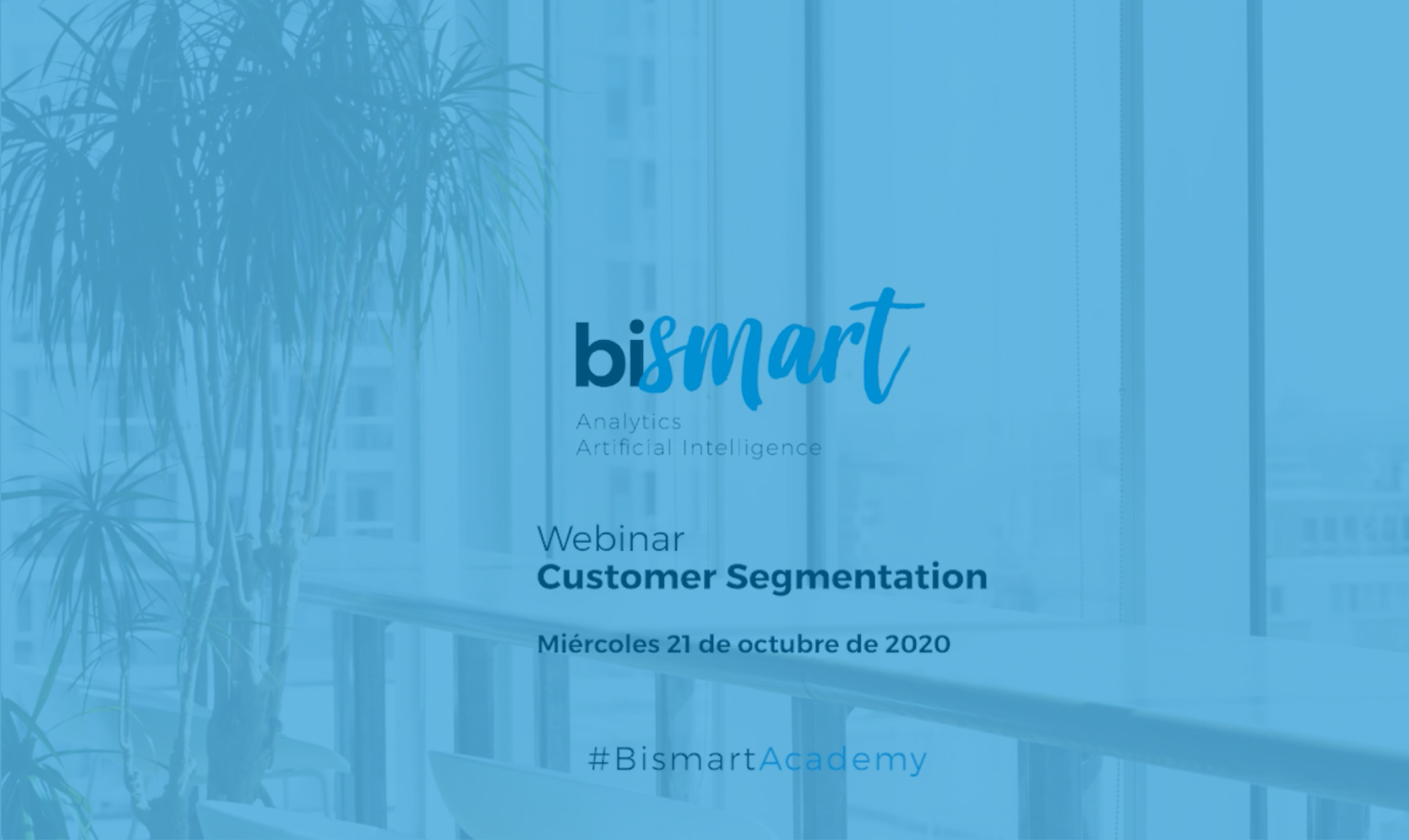 Resumen webinar: Customer Segmentation